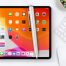 Moko Apple Pencil 2 Case with Sturdy Clip | Gadgetsin